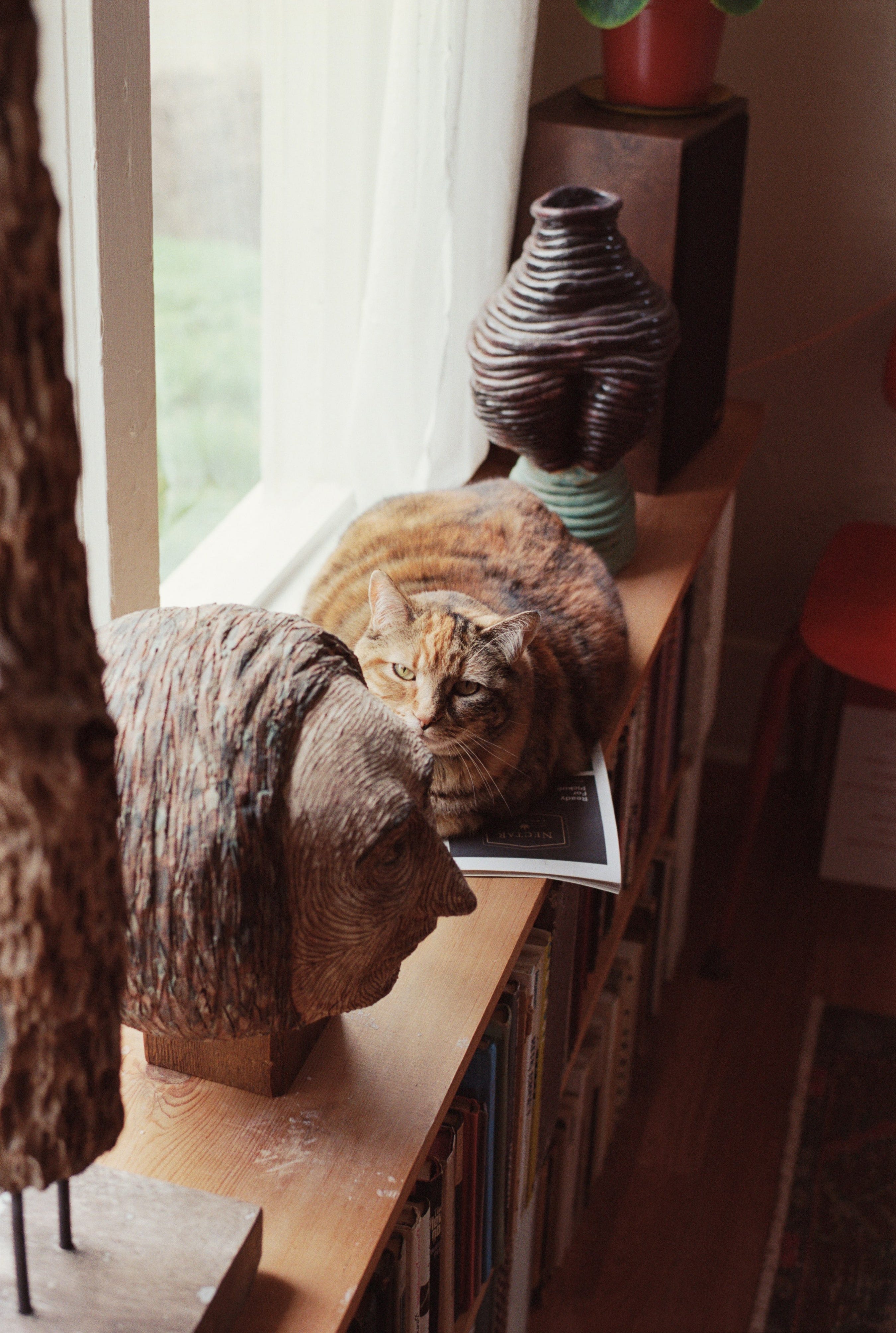 At home in Portland, Oregon with Rachel Corry