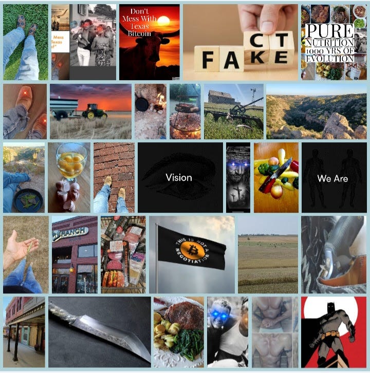 The Beef Initiative - by Texas Slim's Cuts Publishing