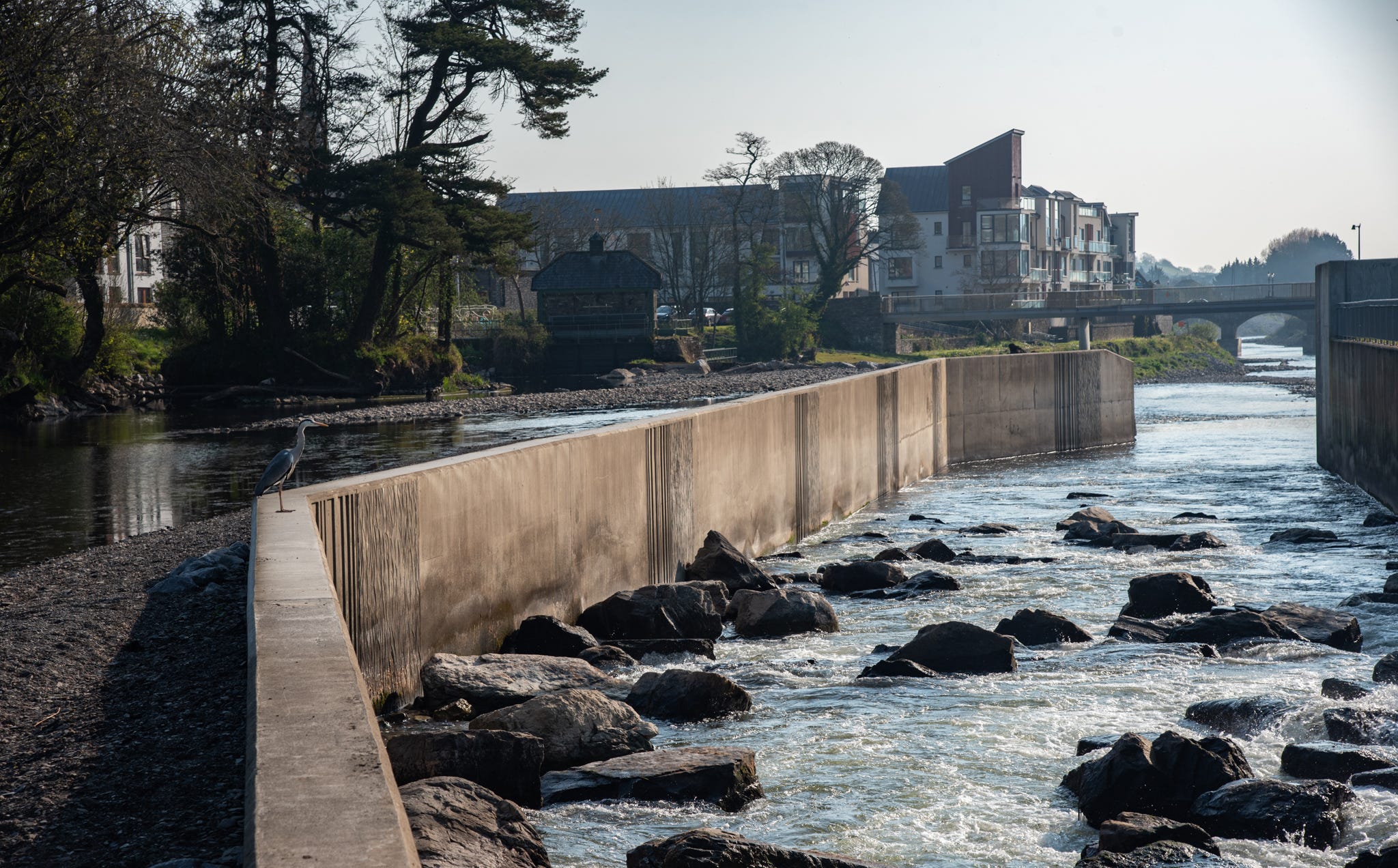 OPW paid €20,000 in compensation to Bandon Angling Association for ...