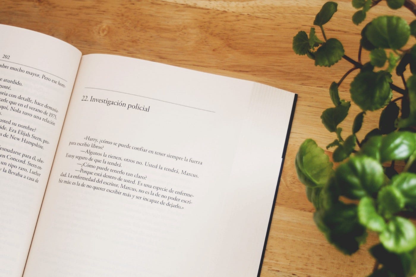 La Verdad Sobre el Caso de Harry Quebert - by Roberto