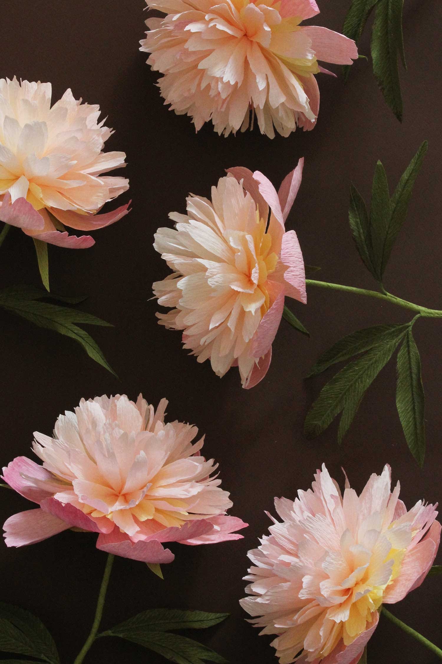 The Q&A: Susan Beech, paper flowers as fine art