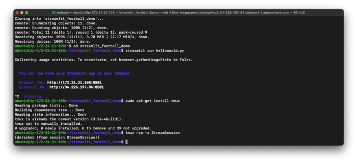 Deploying a Streamlit App Using an AWS Free EC2 Instance?