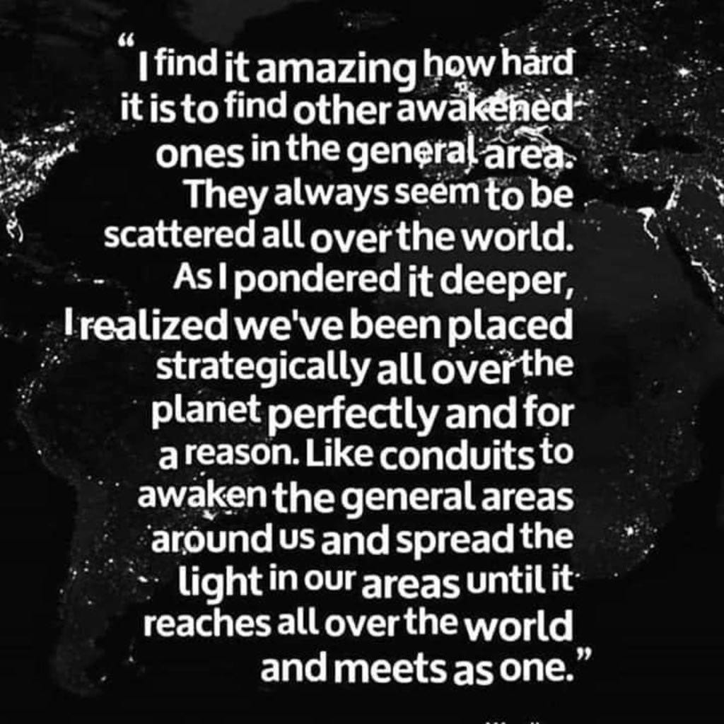 Survive and Rebuild - The Starfire Codes by Demi Pietchell