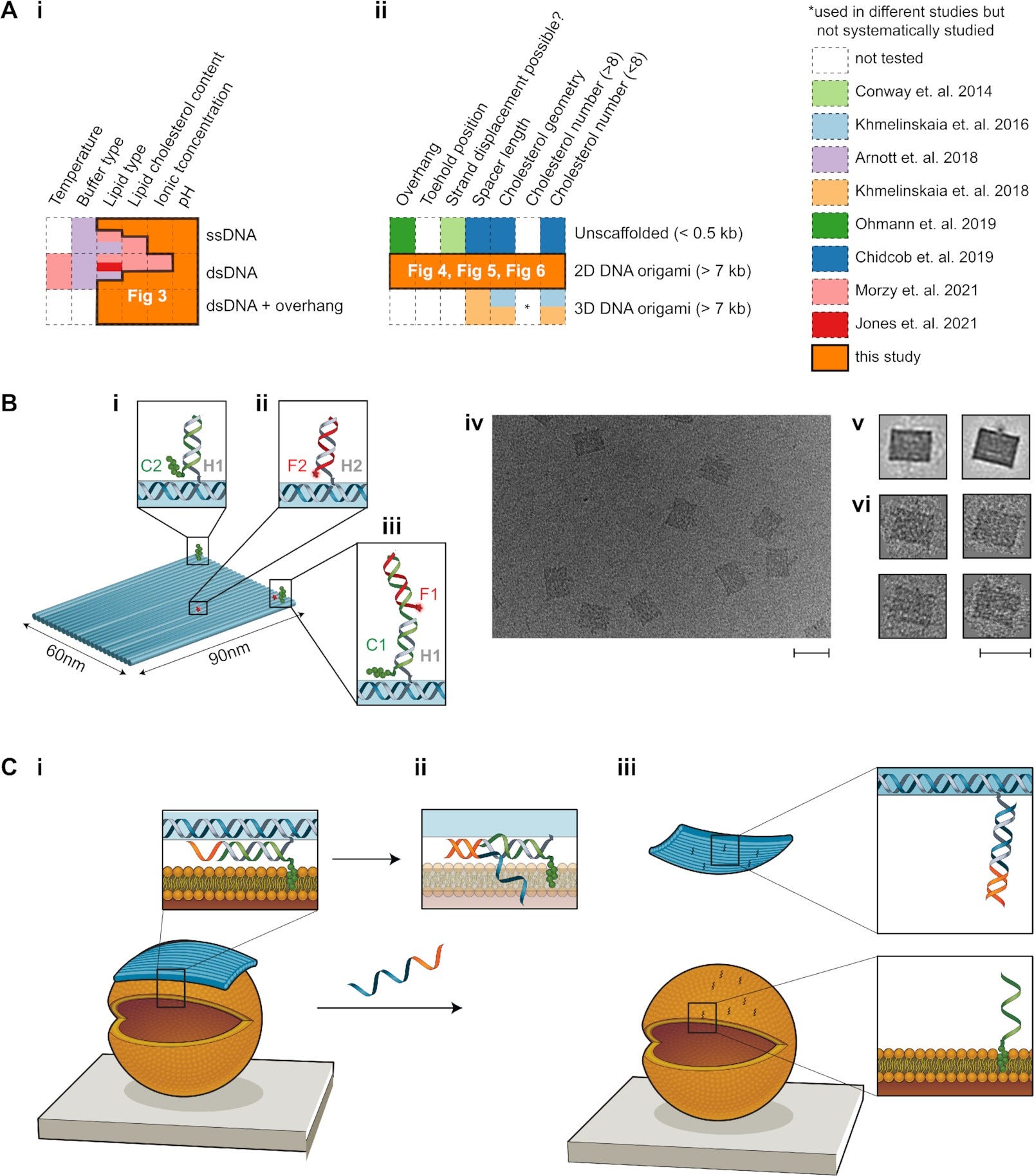 Mini Biological Computers - by Winston Smith