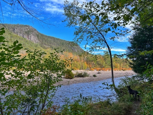 Fall Foliage Postcards from the White Mountains