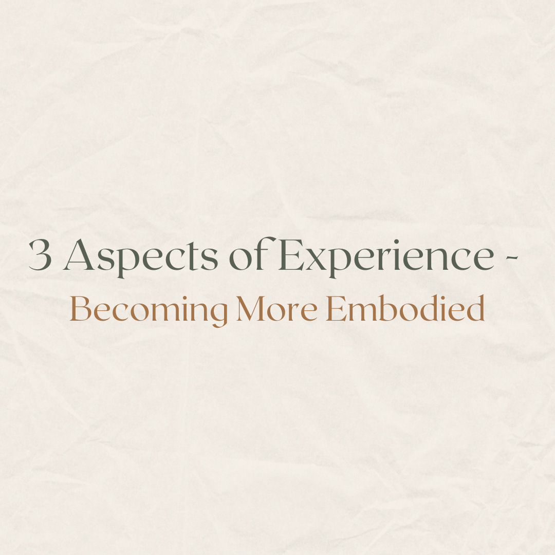 3 Aspects of Experience - Becoming More Embodied