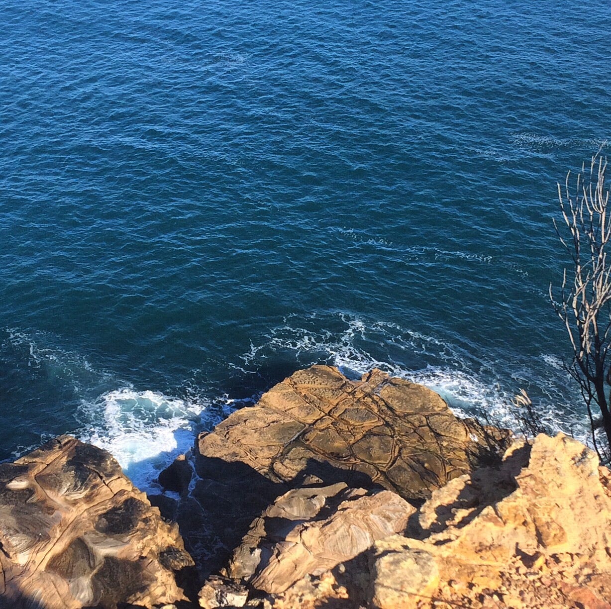 Sensing place, cuttlefish maps + seafaring blood - by Niki