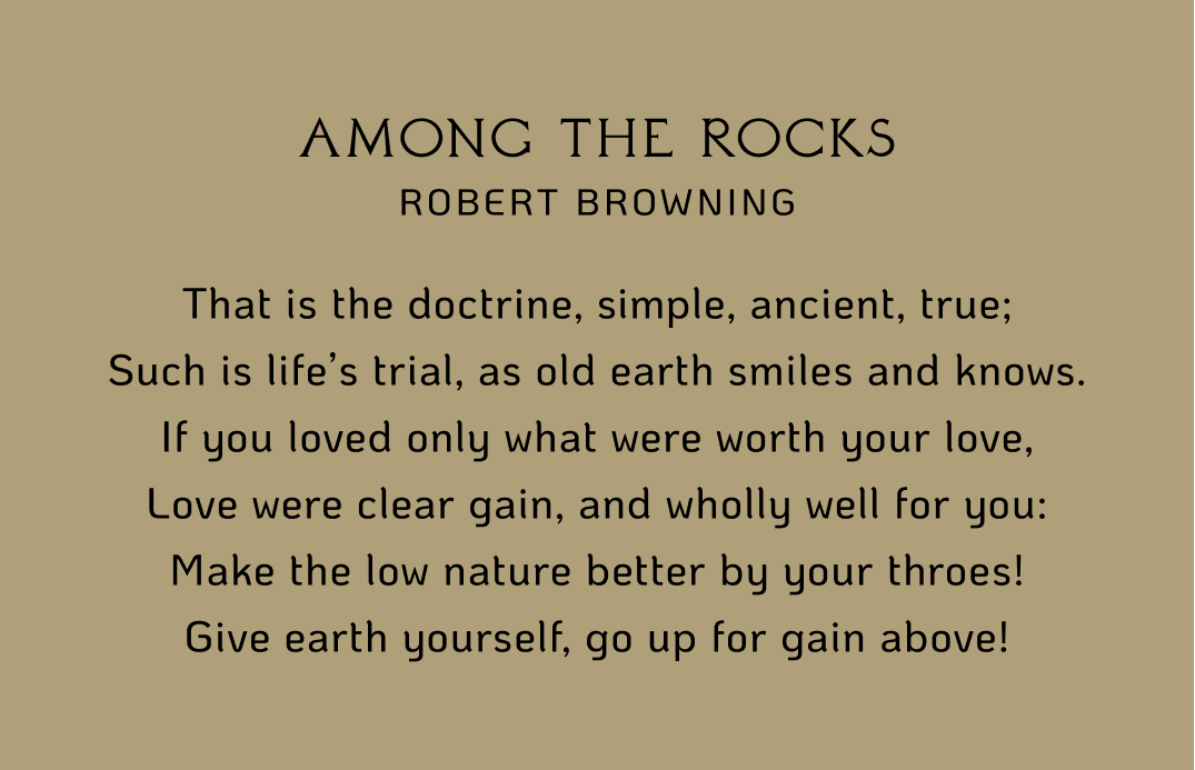 How to Use Koho: A Square Shaped Calligraphic Font Speaking Openness ...