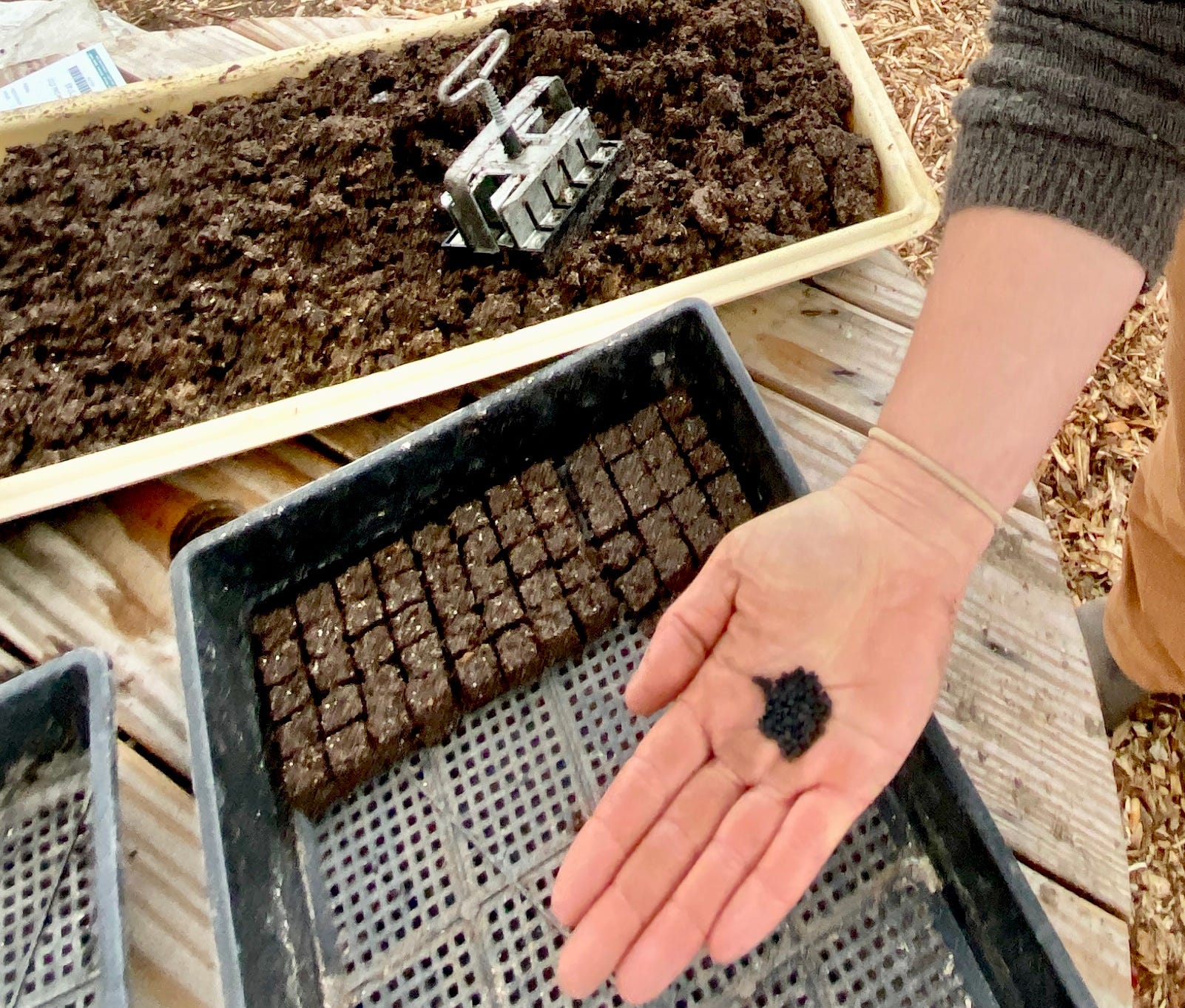 Full Snow Moon Planting at Aspen's Farm Collaborative