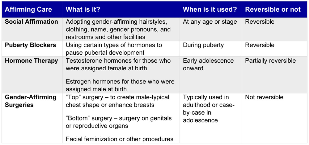 Big Bite: Puberty Blockers are Reversible? - It's Meseidy