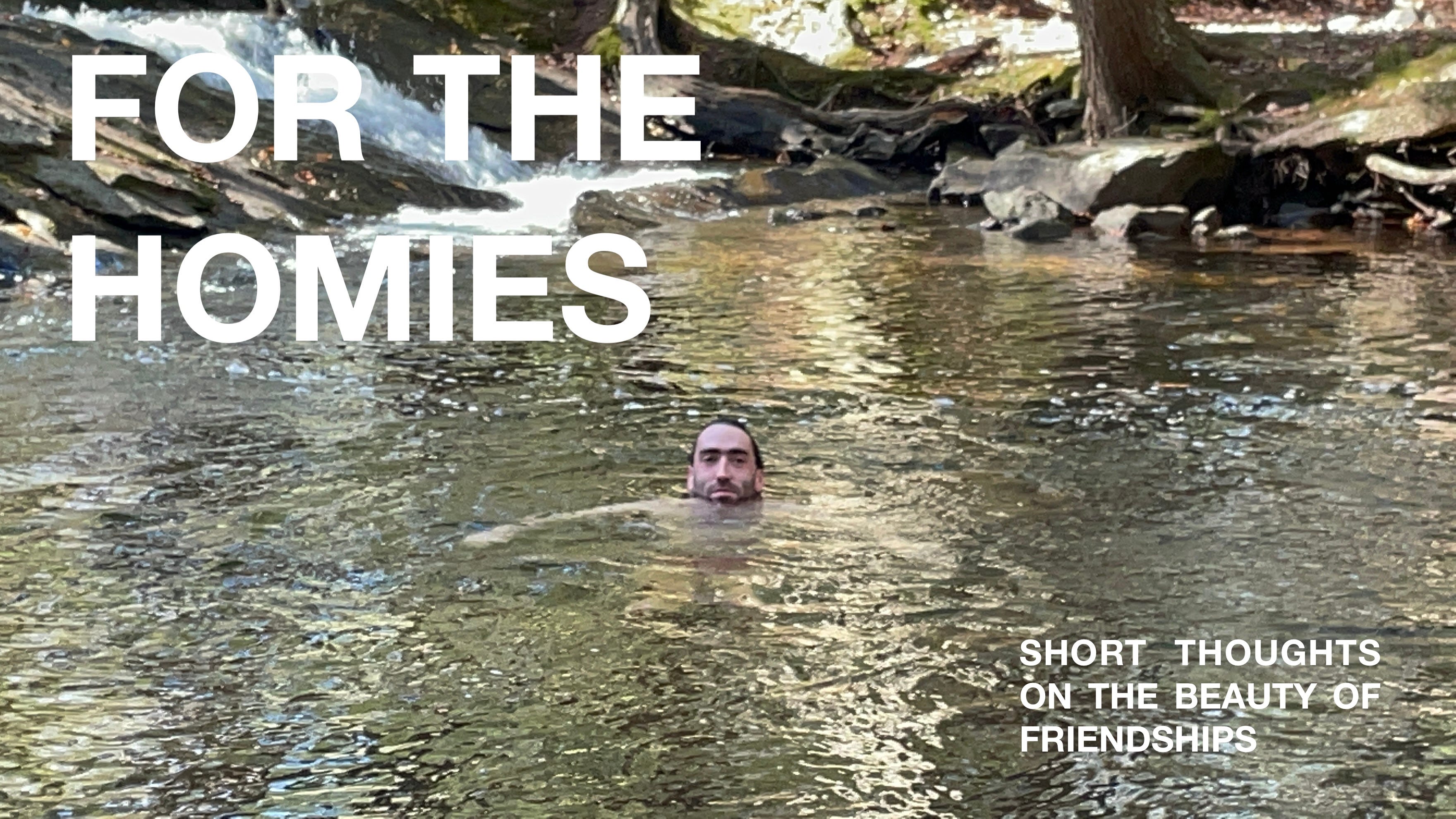 For The Homies - by Cole Hersey - All The Big Little Things