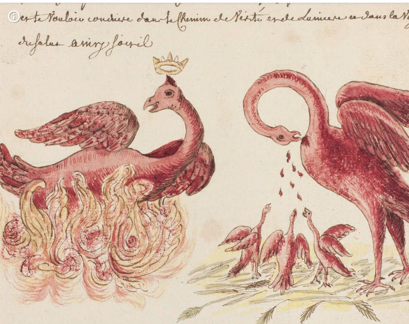 Italian Flamingo Pink - by Toronto Ink Company