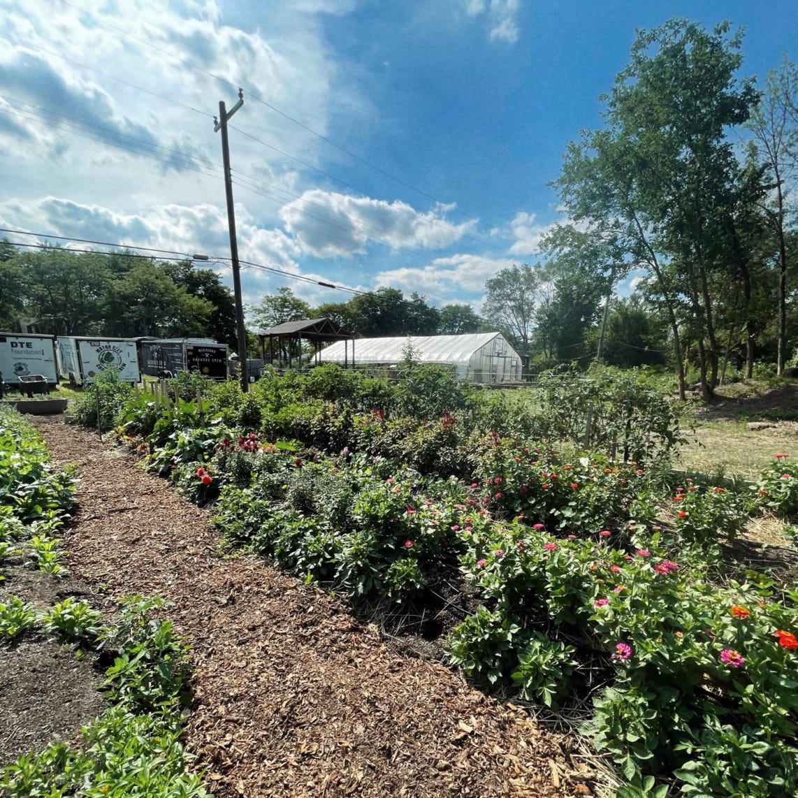 A Community Flower Garden, Wednesday's Farmstand, Homemade Miso-Sesame ...