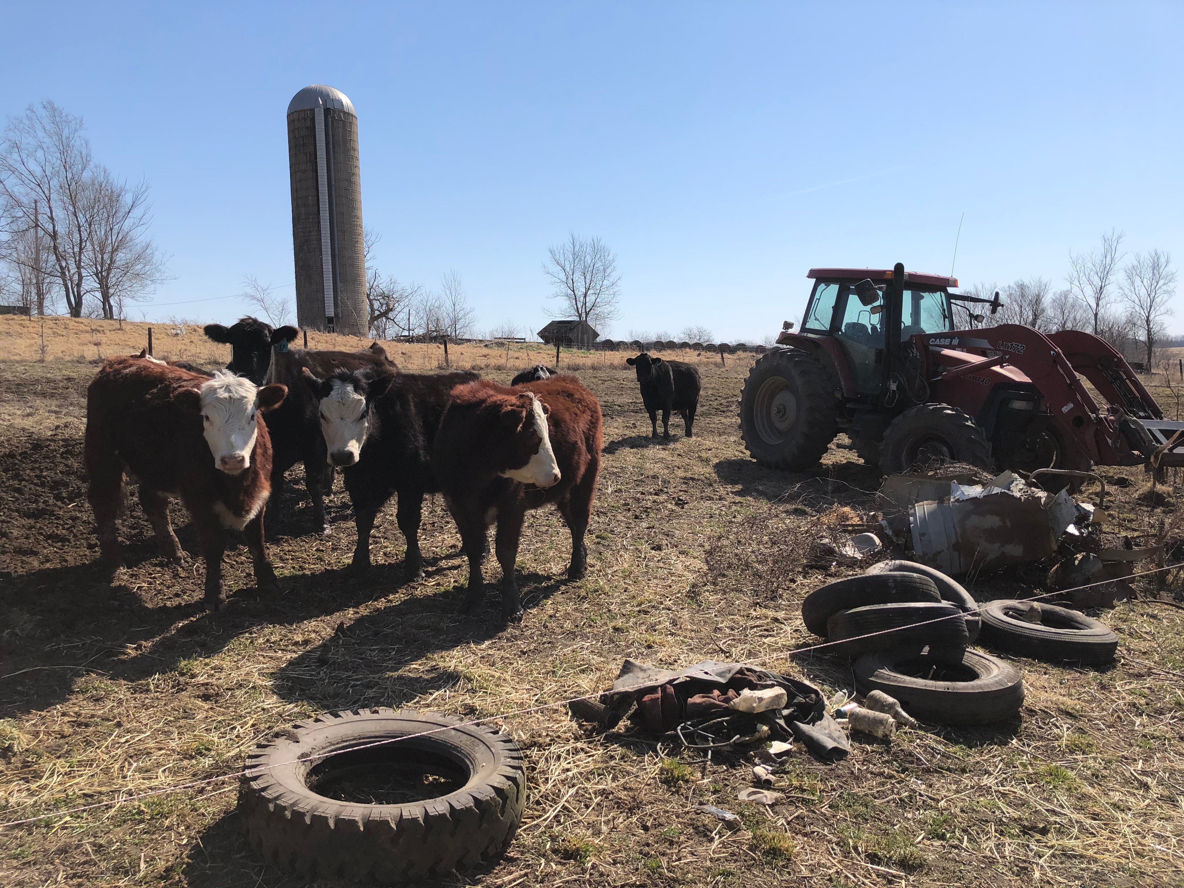 Talking Trash - by Beth Hoffman - In the Dirt