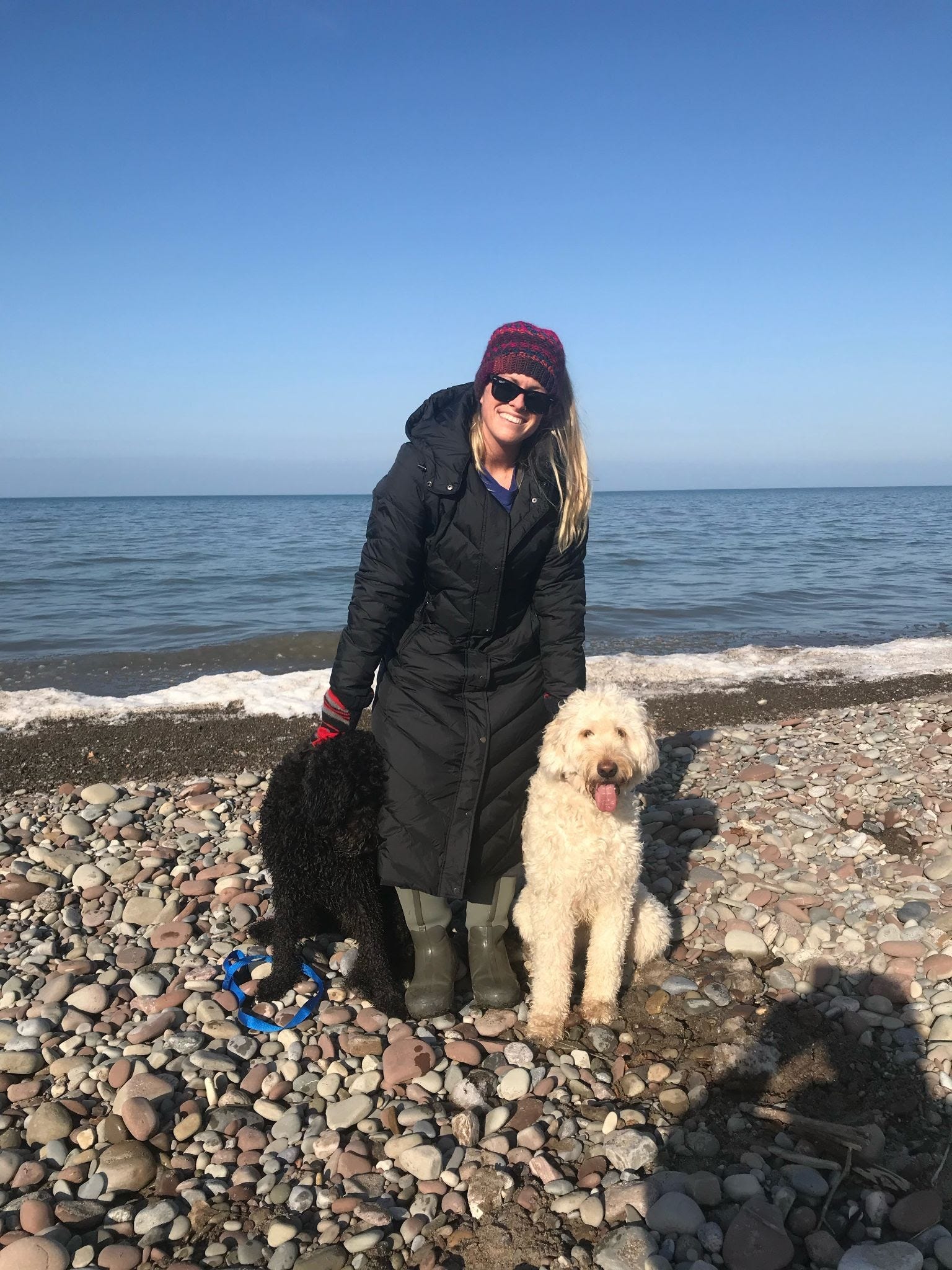 Meet the new staff members at the MCS