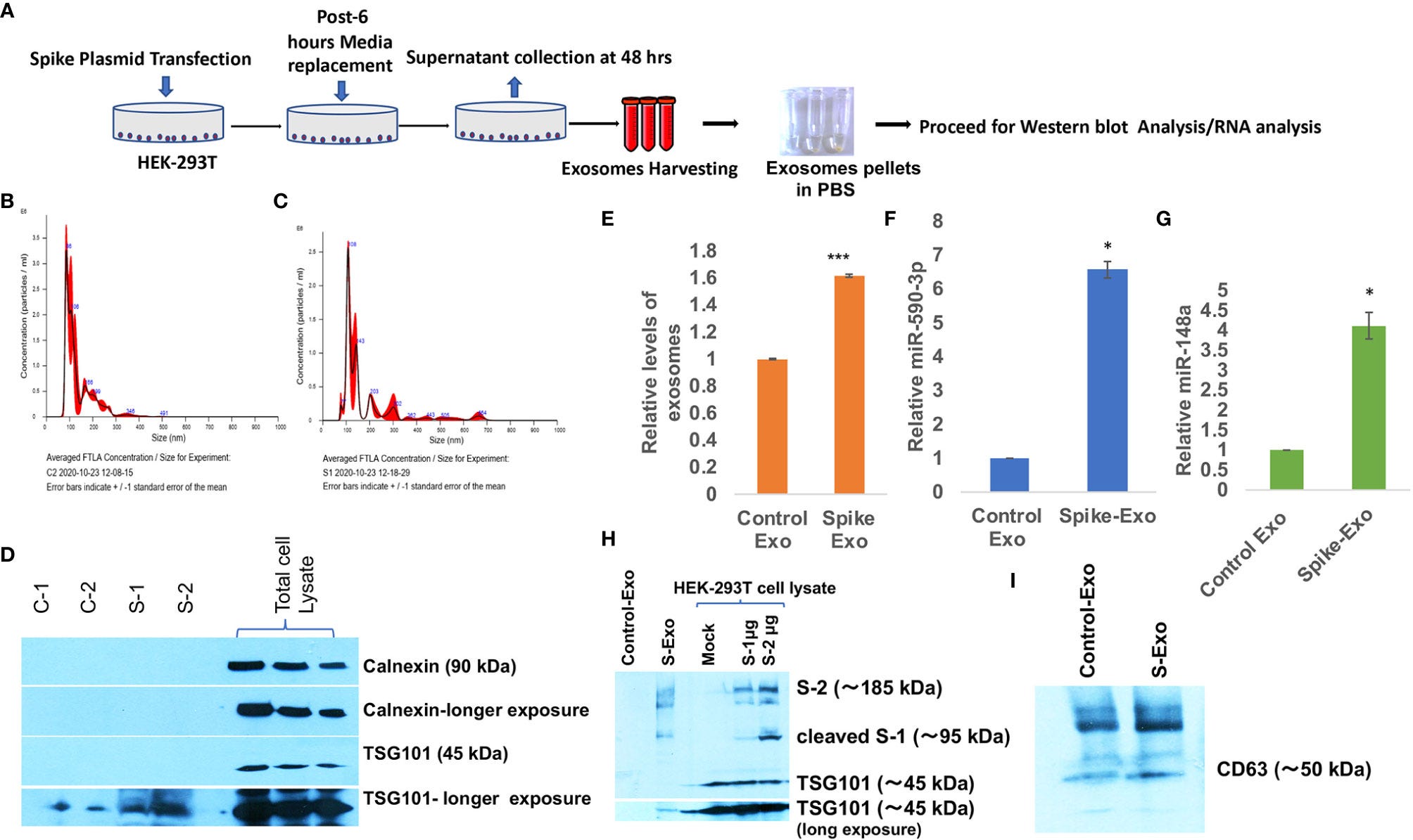 SARS-CoV-2 Spike Targets USP33-IRF9 Axis via Exosomal miR-148a to ...