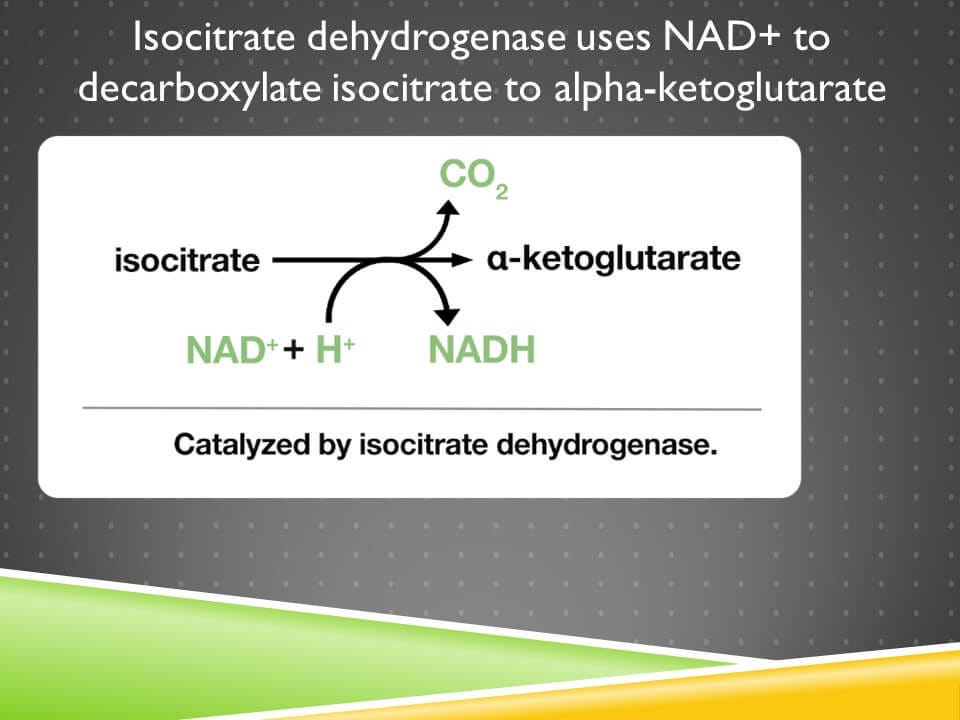 Isocitrate To Alpha Ketoglutarate Mechanism