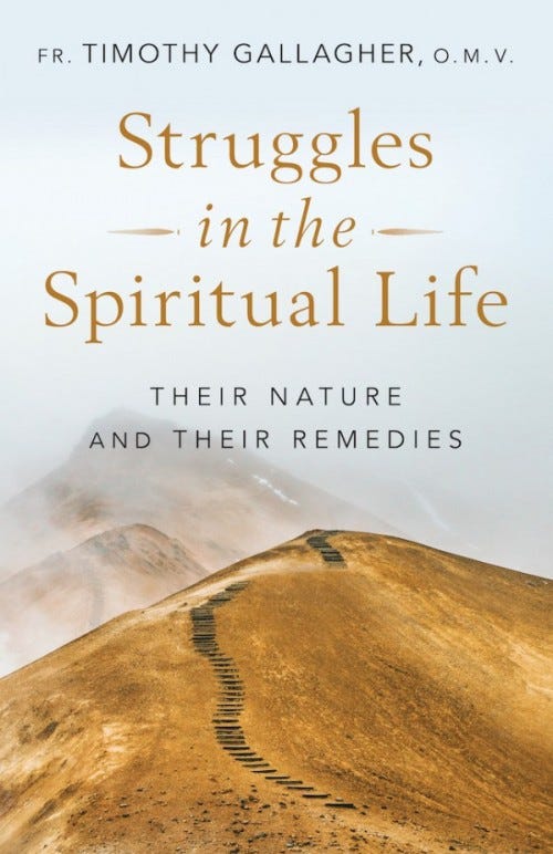 "Struggles in the Spiritual Life" with Fr. Timothy Gallagher O.M.V.