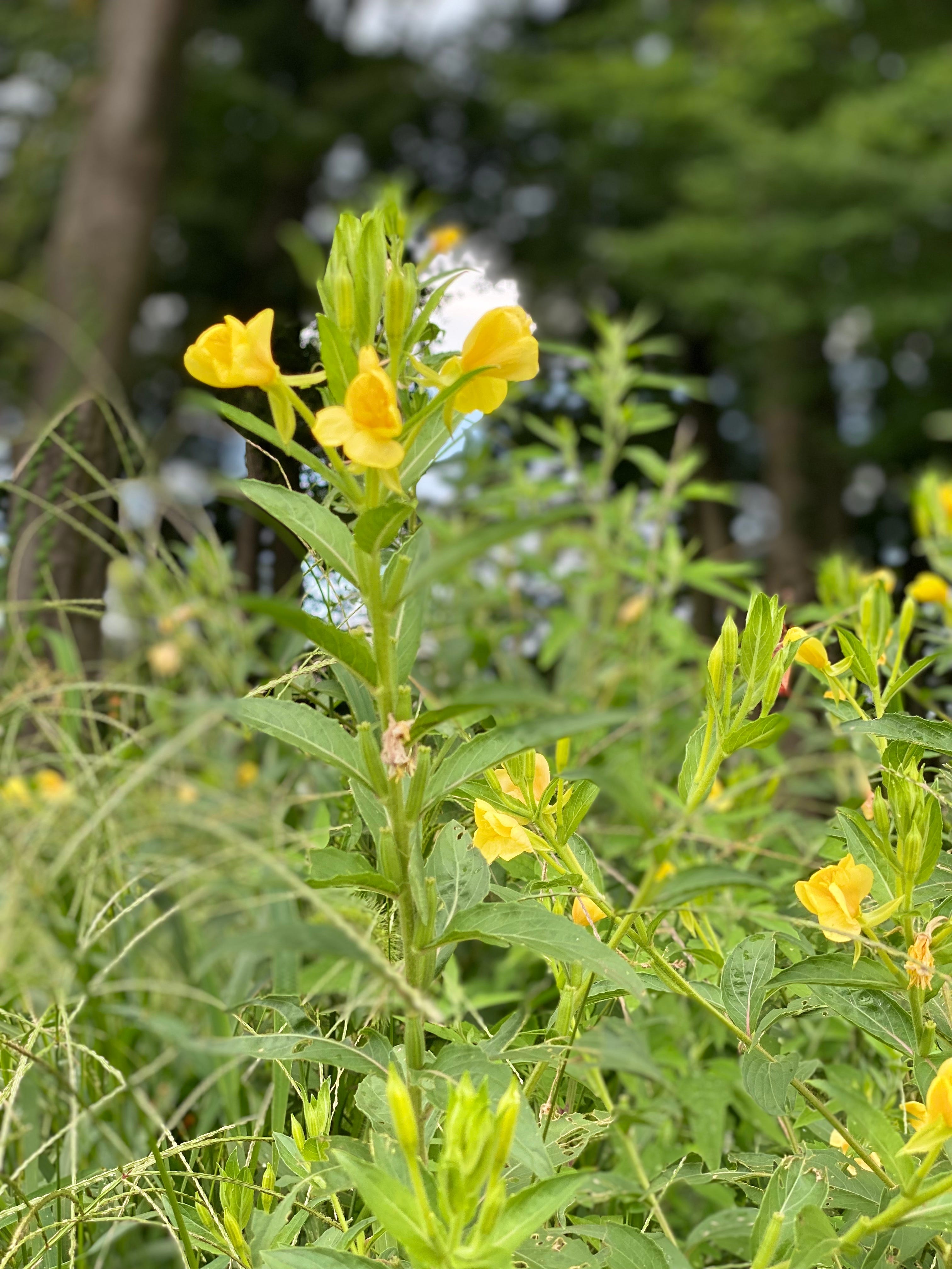 Color Correct - by Joel Neff - 91 Days