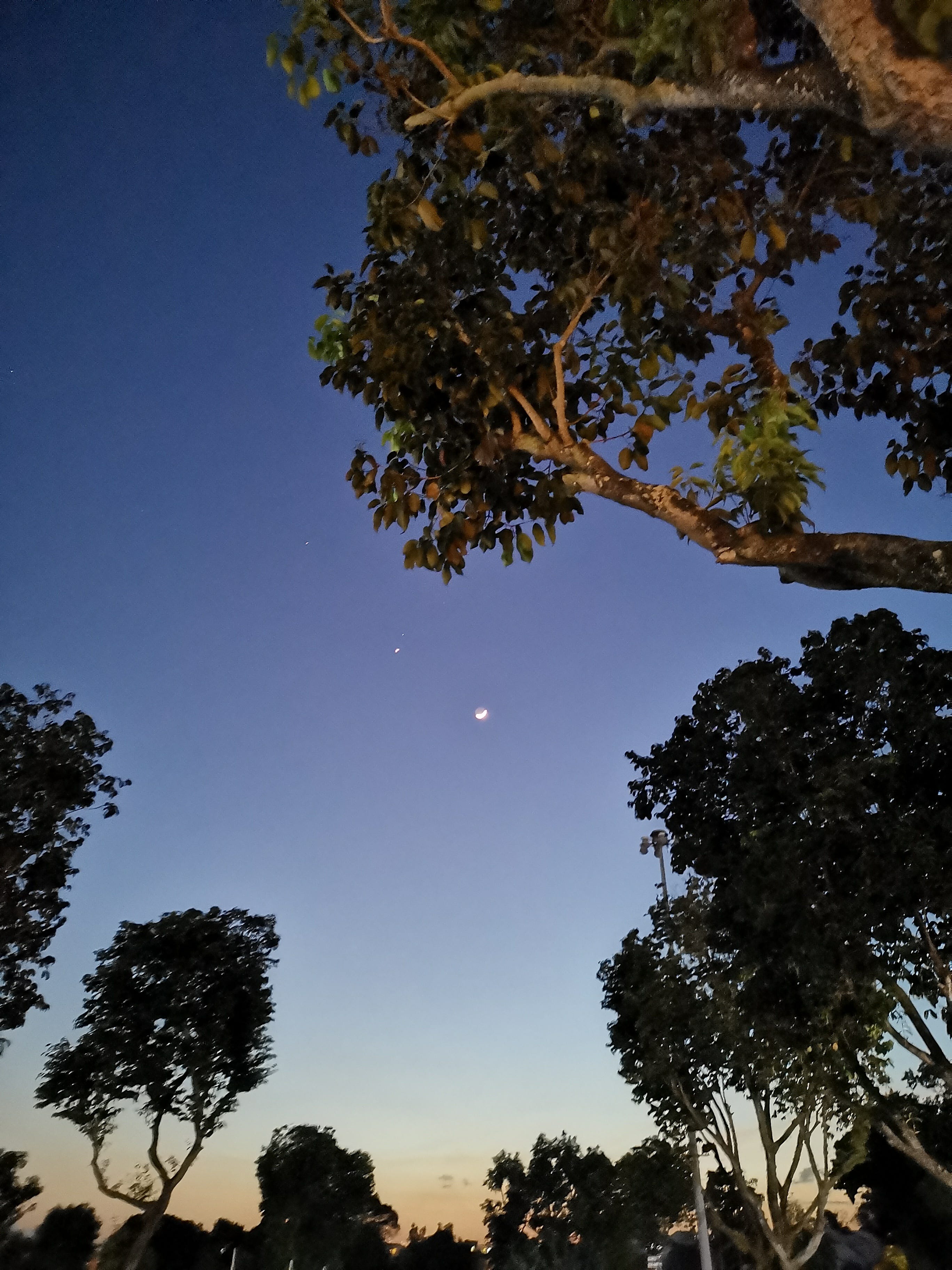 The North Star - by Isaac Teo - Interiority