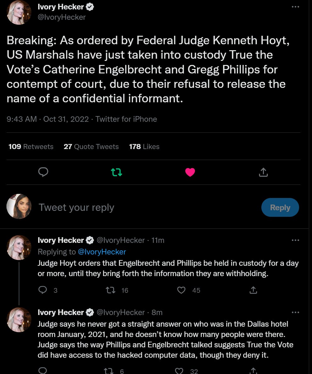 BREAKING: HOUSTON JUDGE TAKES TRUE THE VOTE'S CATHERINE ENGLEBRECHT AND ...