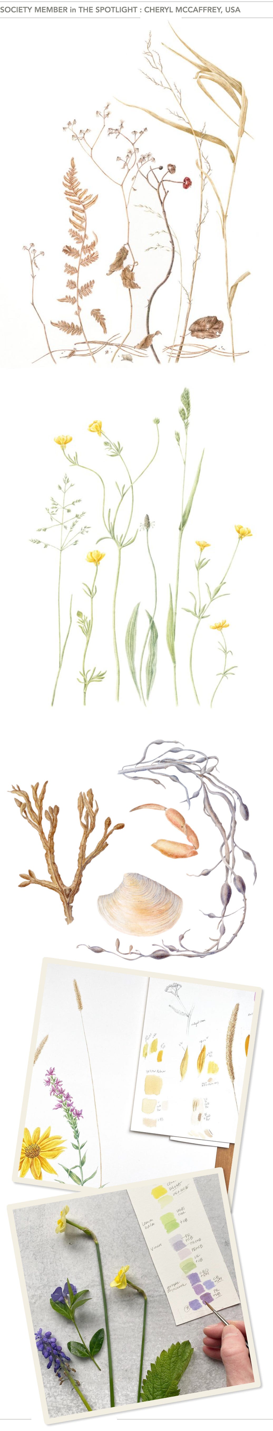 The NO SUCH THING AS TOO MUCH ART Society | Danielle Krysa | Substack