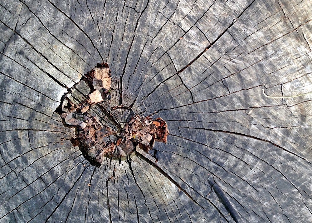 Radiating Possibilities - by Kim Manley Ort