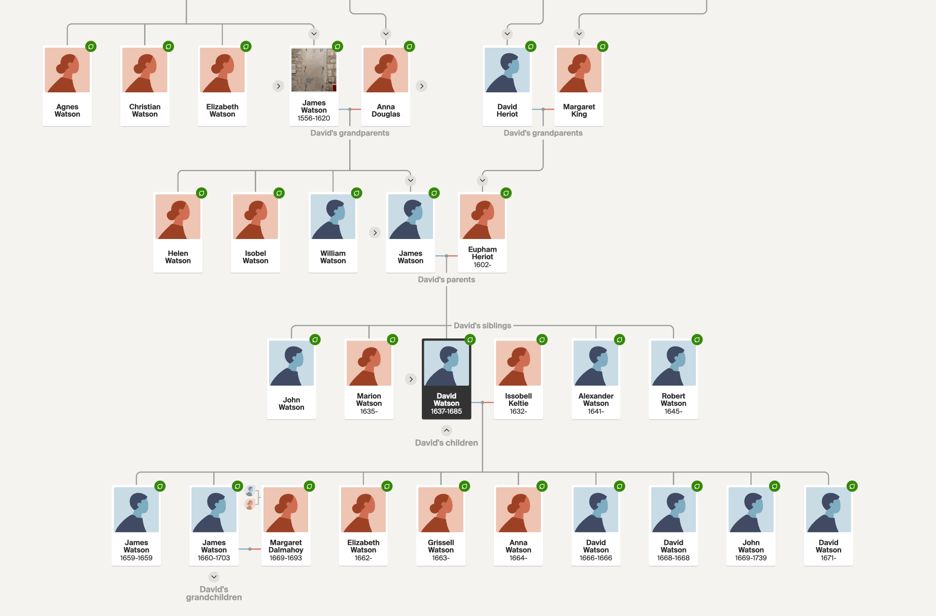 The Watson Mazer - by Scott J. Watson - Insperata Floruit