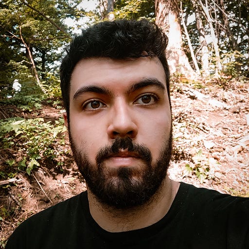 Felipe Lodur | Substack