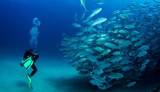 Two Terrific Coasts: Scuba Diving in Costa Rica