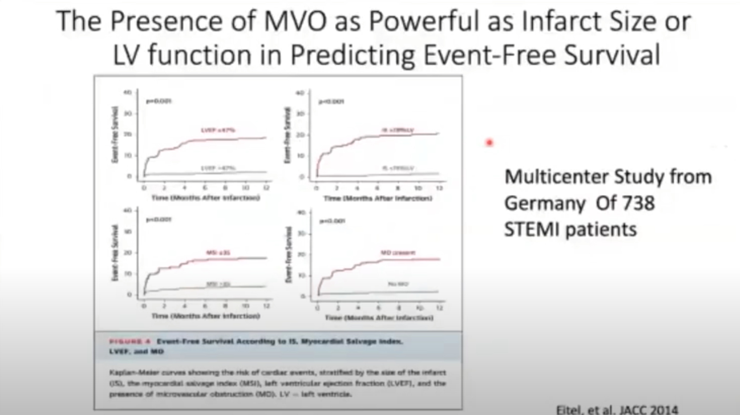 THE SPIKE PROTEIN’S EFFECT ON THE MICROVASCULATURE OF THE HEART AND ...