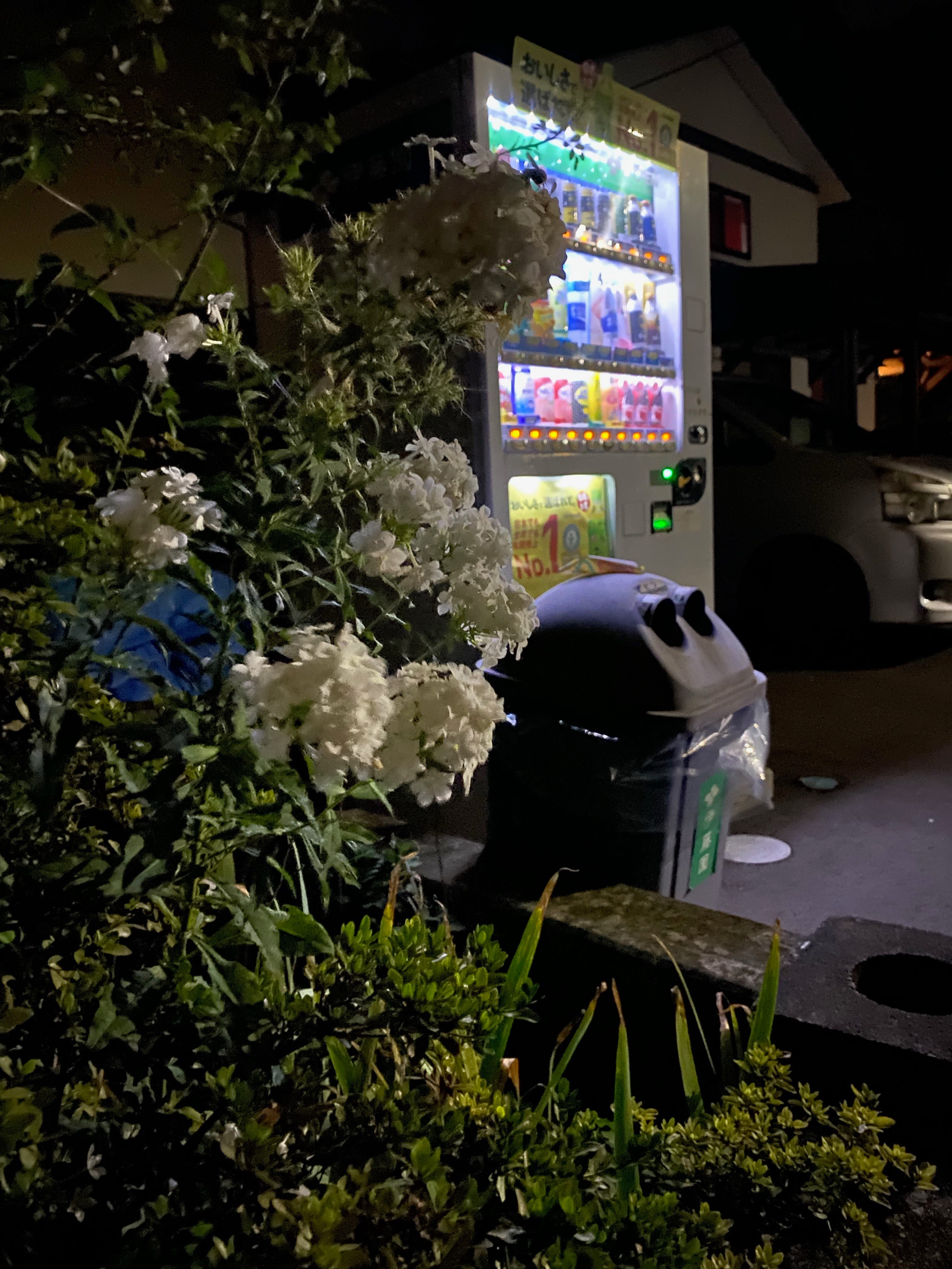 Doldrums - by Joel Neff - 91 Days