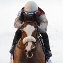 Picking Horses | Substack