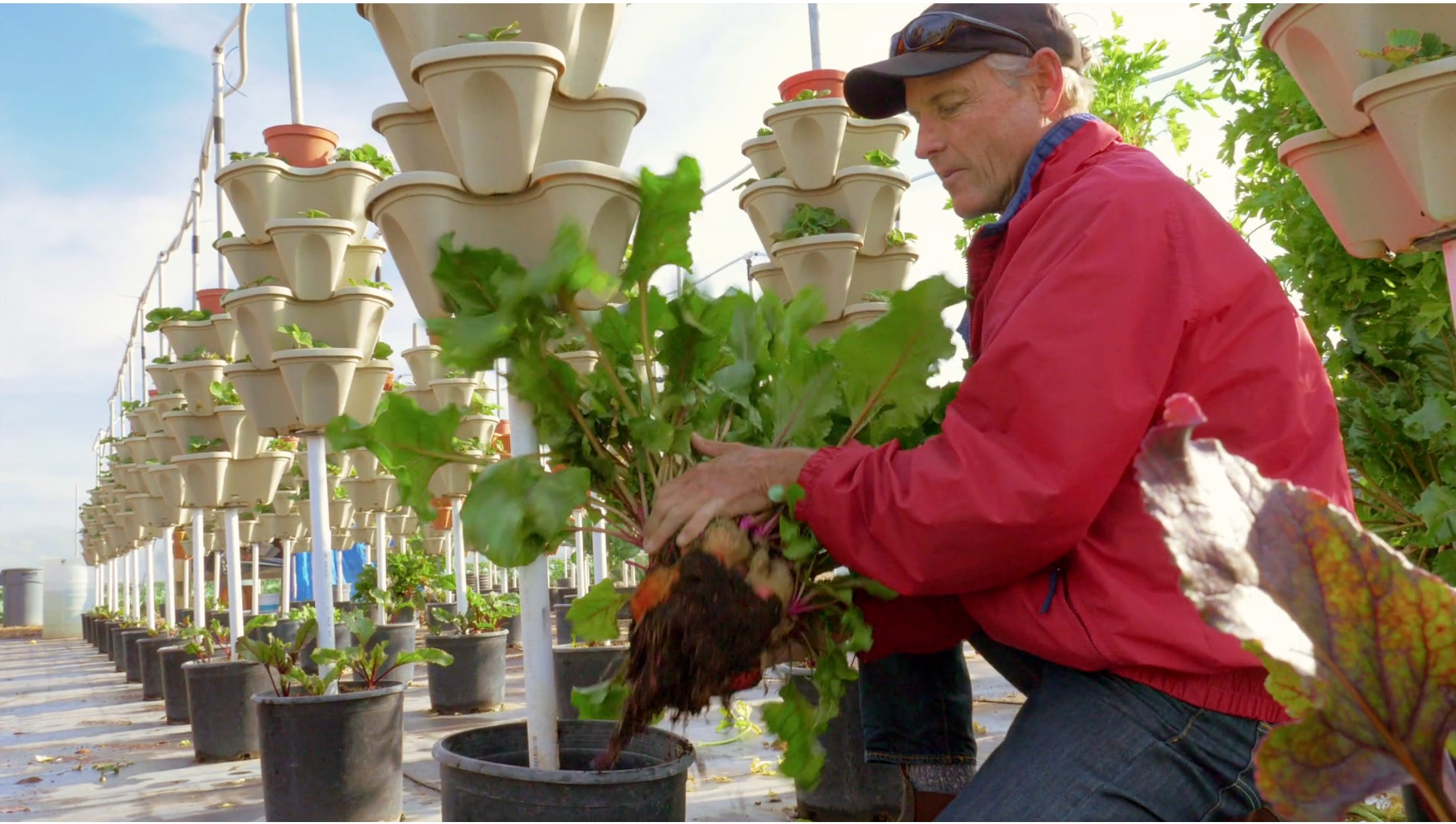 The Fragile Legacy of Soil - by Shobha Gallagher