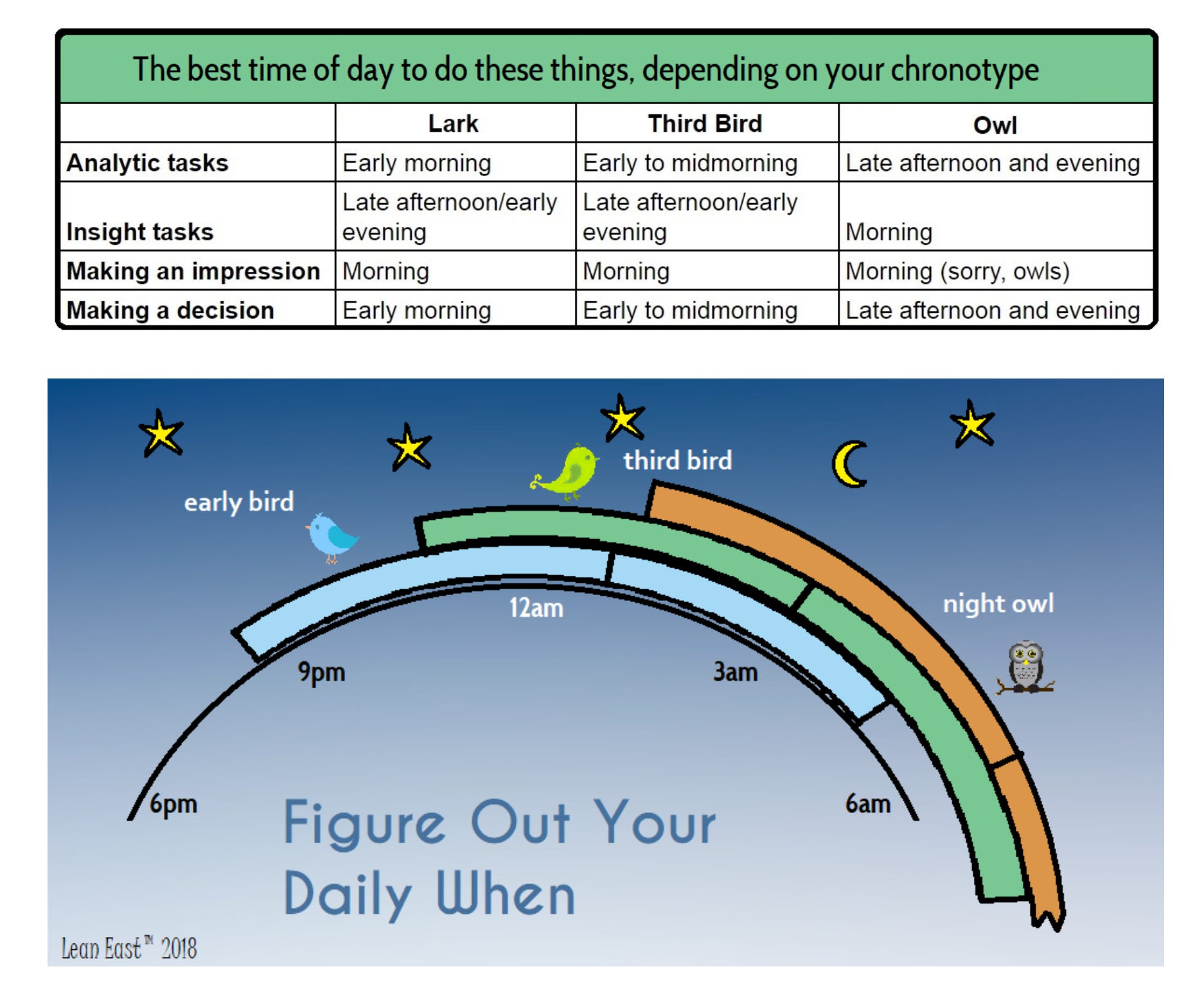 Physiology Friday #140: Early Risers Burn More Fat: How Chronotype Impacts Metabolic Health
