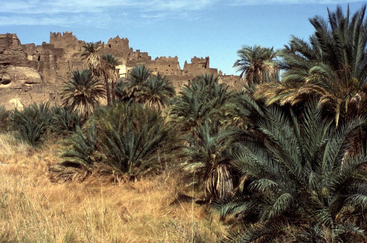 An African civilization in the heart of the Sahara: the Kawar oasis ...
