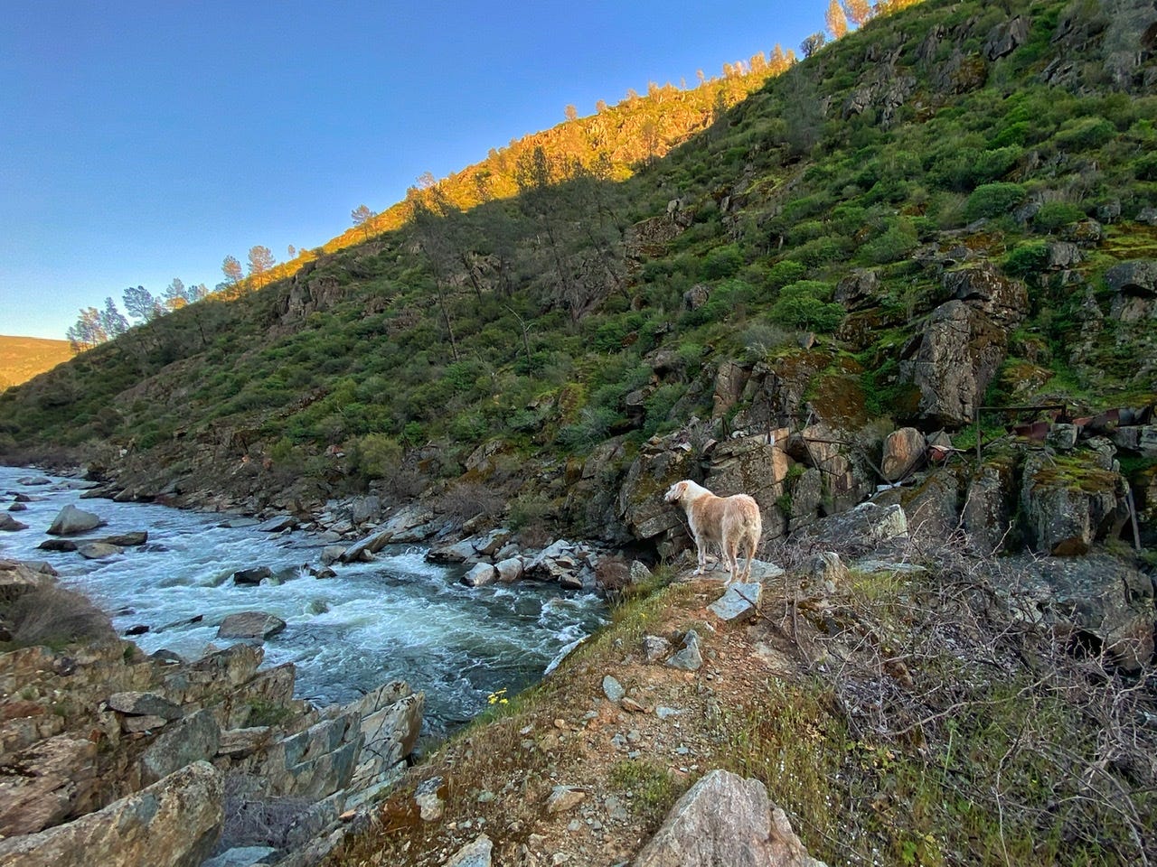 Arriving in Bootjack, California - Tom Ryan, Author