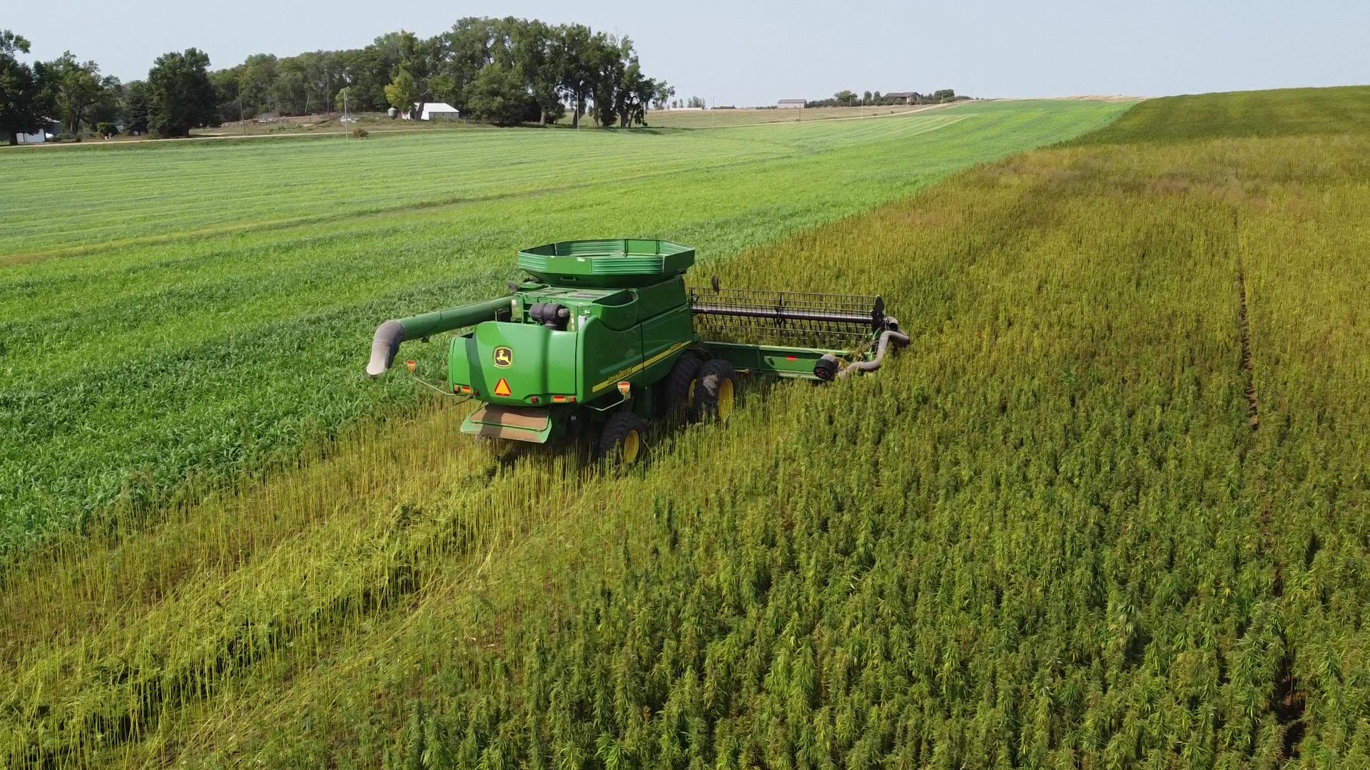 After starting one of the last hemp programs in the nation, South ...