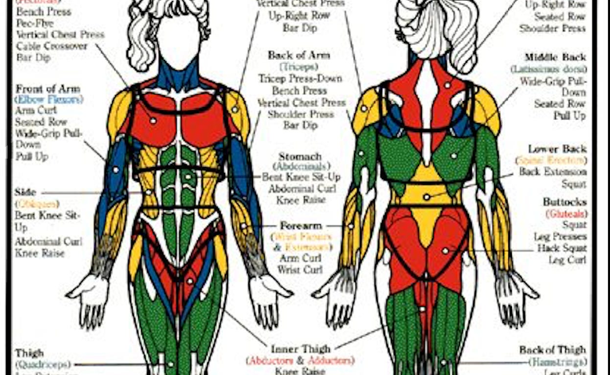 Exercise Is an Antidepressant. Why Isn't It Used More to Treat Depression?