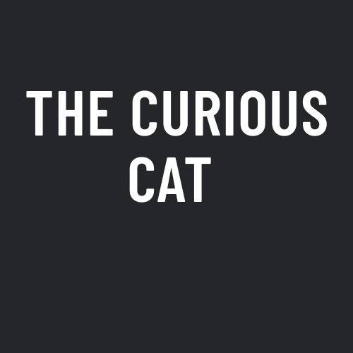 The Curious Cat | Substack
