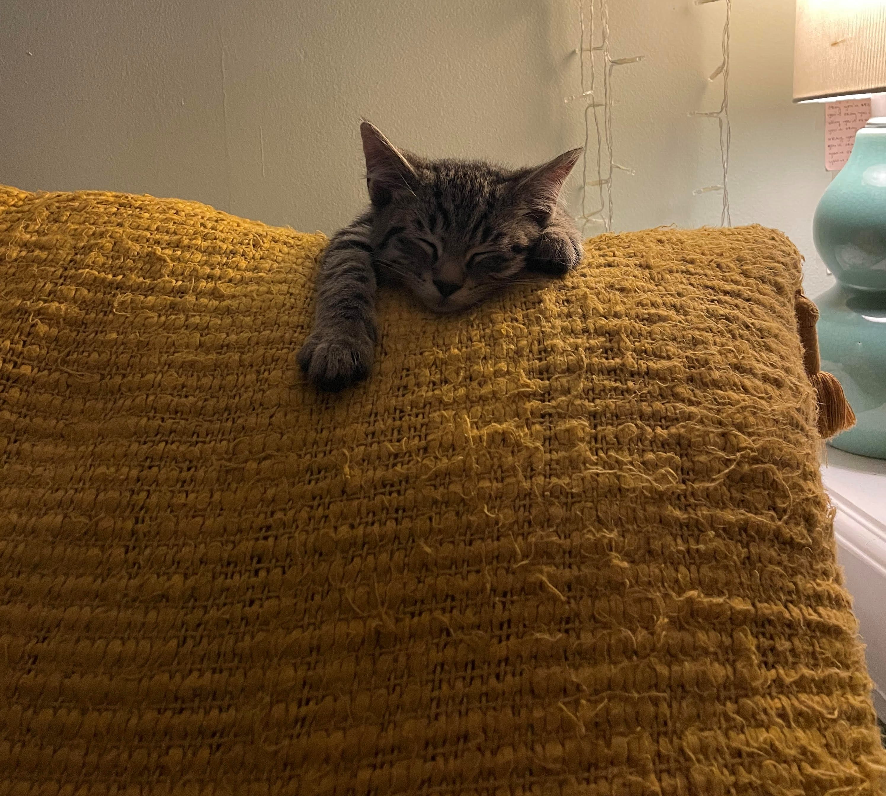 my bed - by Colleen Grablick - if brain worms could talk