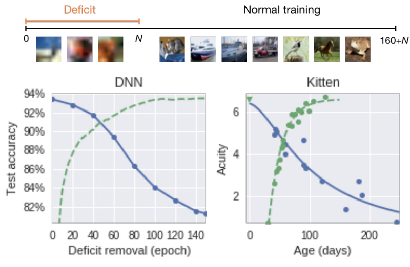 Critical Learning Periods in Deep Networks
