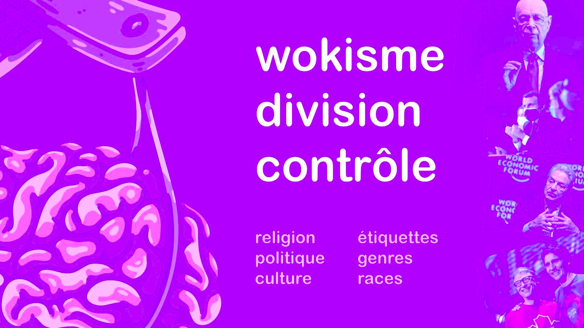 Le wokisme pour normaliser un contrôle synthétique et manufacturé qui ...