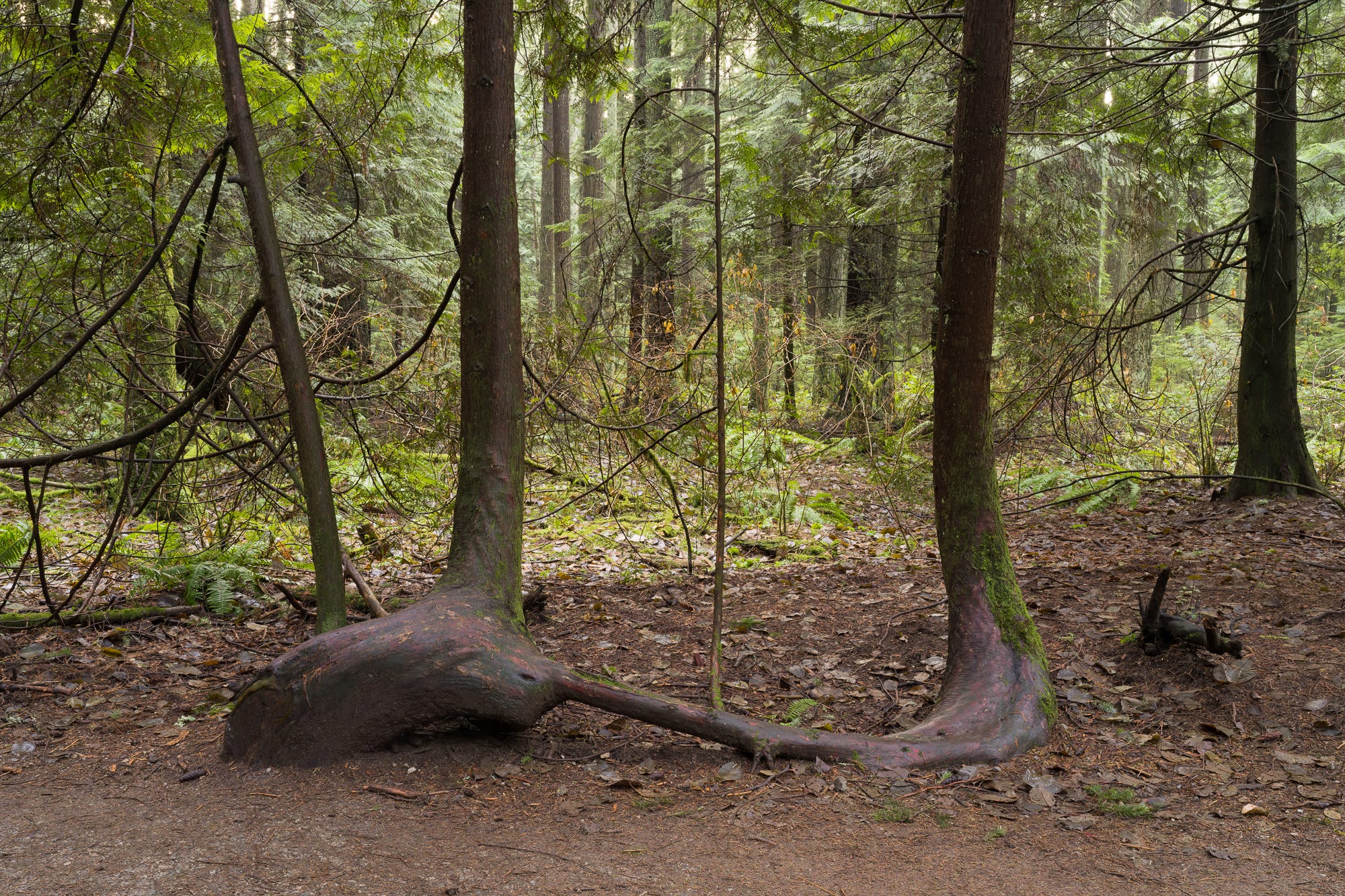 Jackson Pollock, Sand and Pixels - Jim Roche On Photography