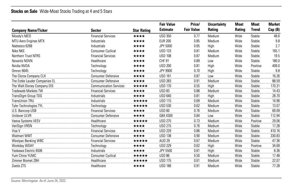 Wide Moat Investing: The Morningstar Framework Guide