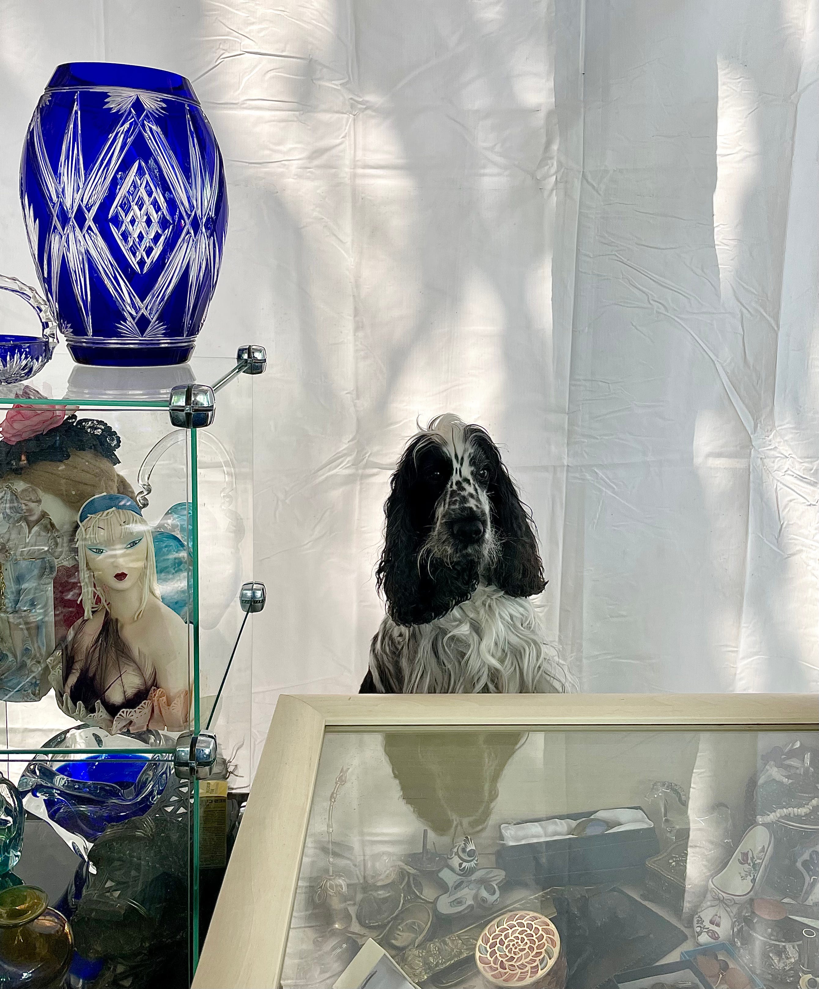 Faire le Pont - by Emily - A Week in Paris