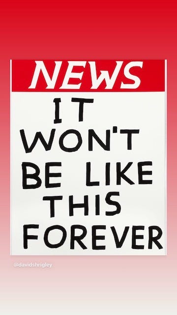 Hammond Year of Adventure | Elena Hammond | Substack