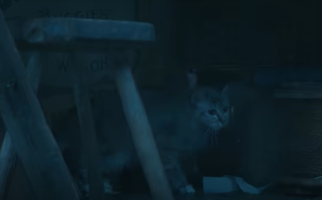 These Paintings of Cats Will Be The Death Of Us All: On Movie Trailers ...