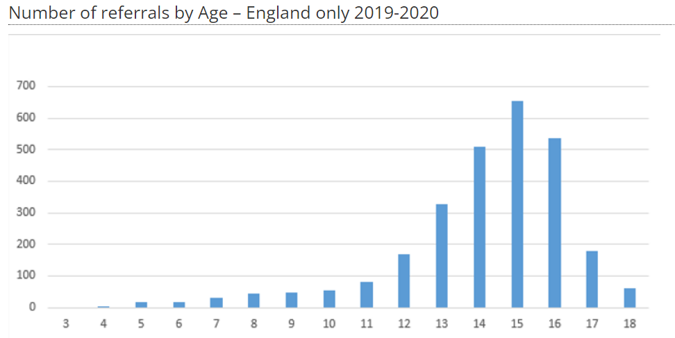 Making Light of Detransition - Void if removed