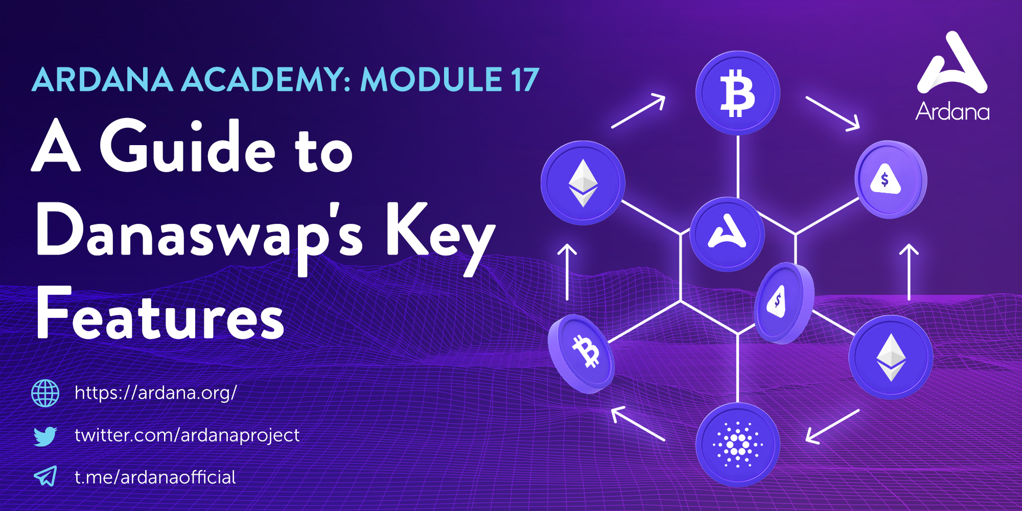 Module 17: A Guide to Danaswap's Key Features